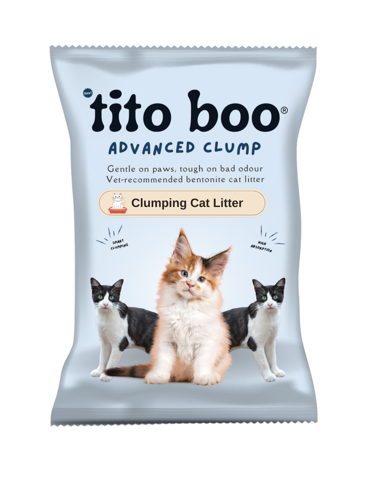 Collections – Tito Boo